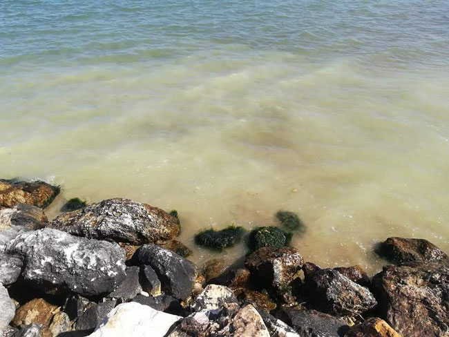 Pescara, la spiaggia della riviera sud si colora di giallo