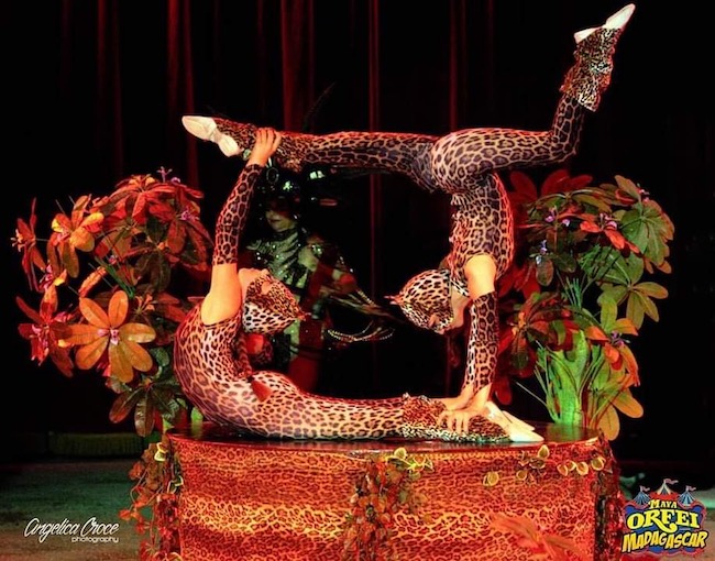 Maya Orfei Circo Madagascar a Sulmona: ecco quando